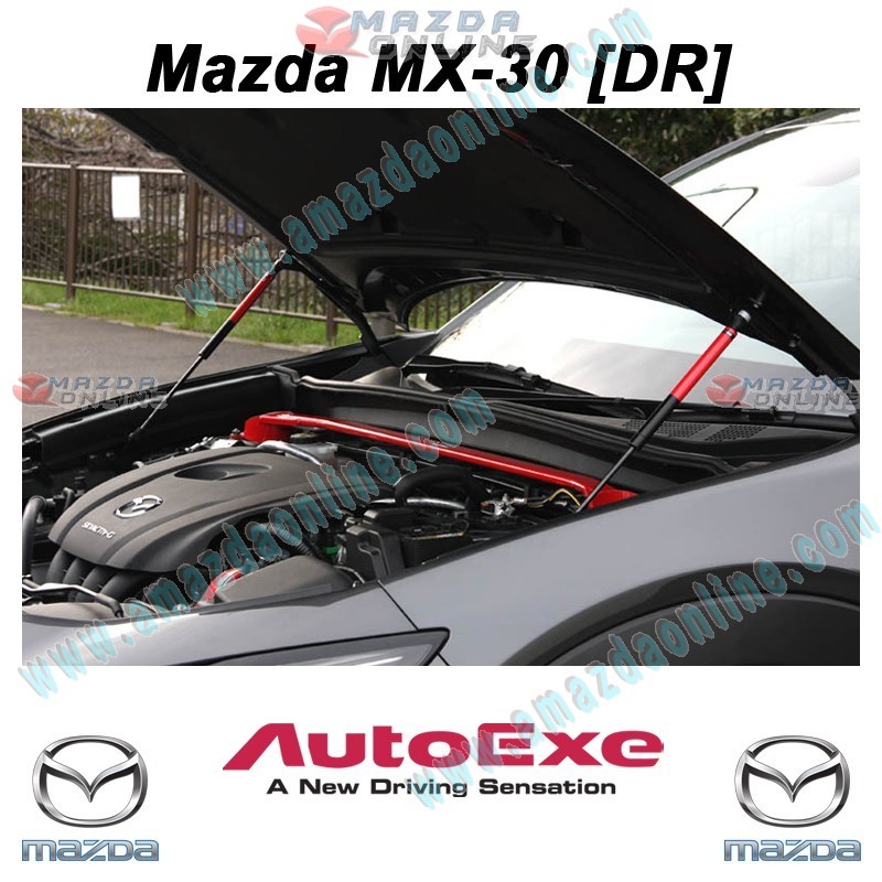 AutoExe Bonnet Hood Liftgate Strut Kit fits 2021-2024 Mazda MX-30 [DR] MDM2960 | A Mazda Online ...