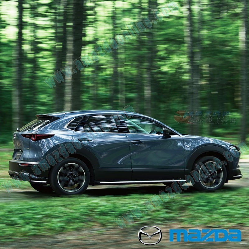 Mazda JDM Rear Diffuser Lip Spoiler fits 2020-2024 Mazda CX-30 [DM] | A ...
